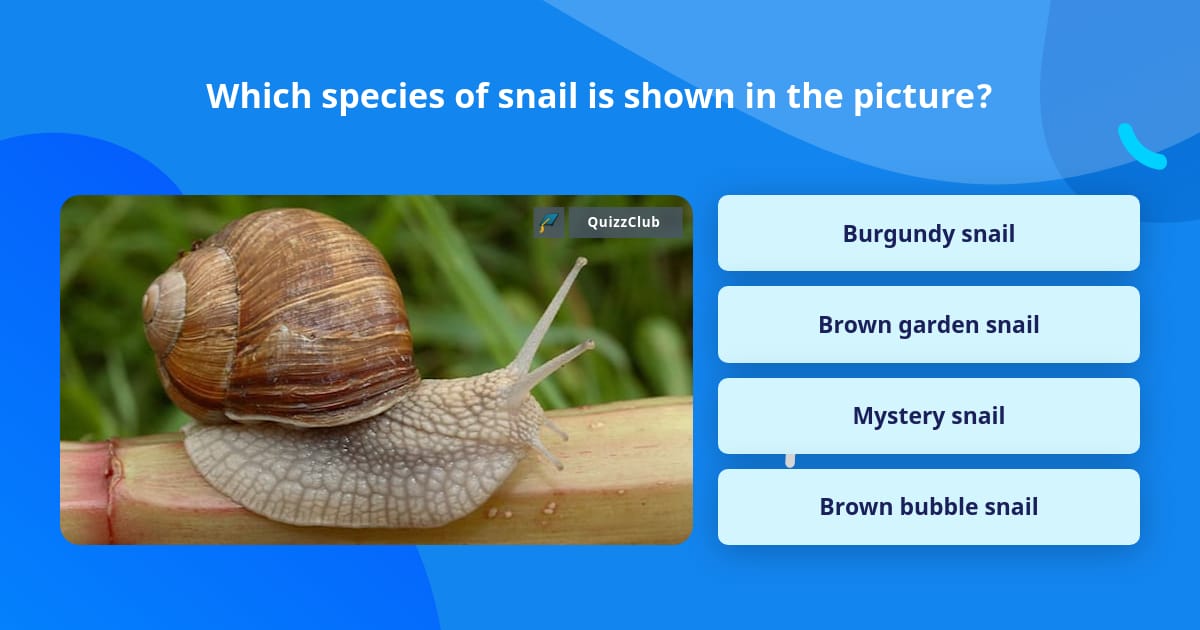 Which species of snail is shown in... | Trivia Questions | QuizzClub