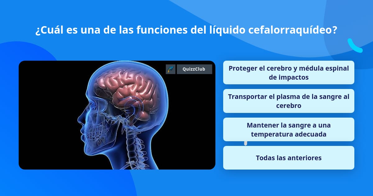 ¿Cuál es una de las funciones del... | La respuesta de Trivia