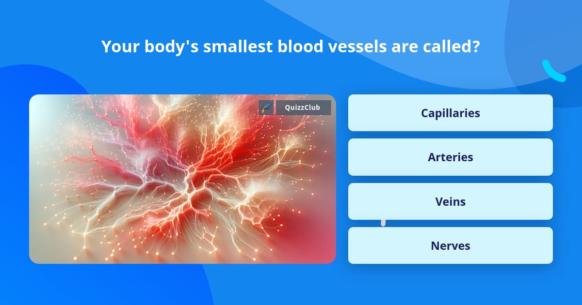 Your body's smallest blood vessels... | Trivia Questions | QuizzClub