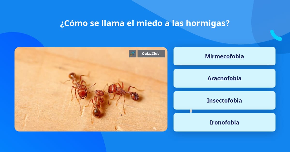 ¿Cómo se llama el miedo a las hormigas? | Las Preguntas Trivia