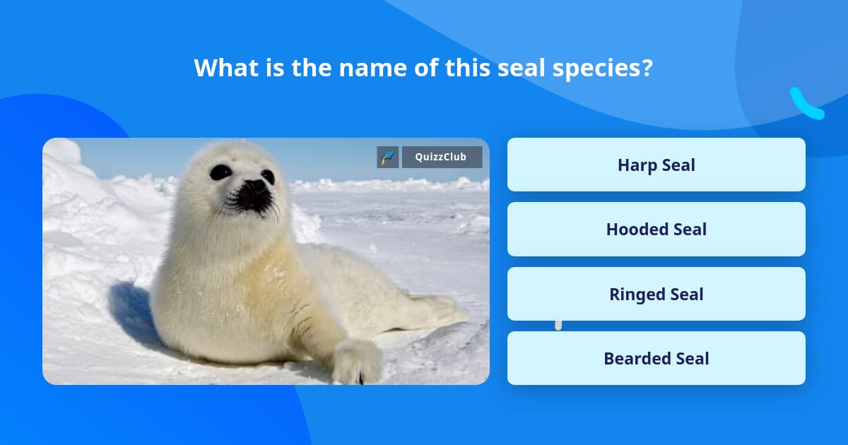 What is the name of this seal species? | Trivia Questions | QuizzClub