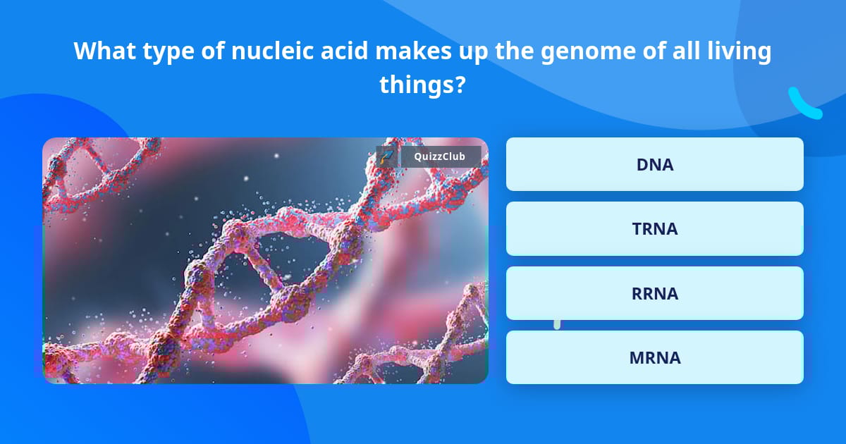 What type of nucleic acid makes up... | Trivia Questions | QuizzClub