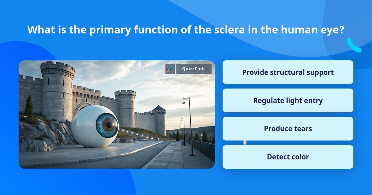 What is the primary function of the... | Trivia Questions | QuizzClub
