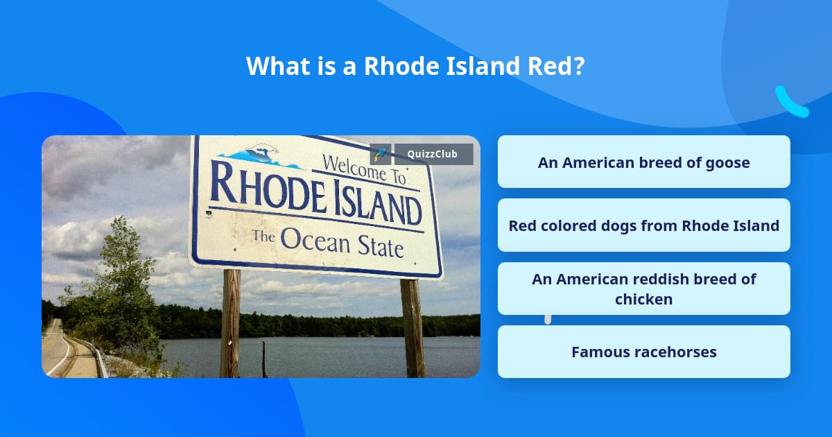 What is a Rhode Island Red? | Trivia Questions | QuizzClub