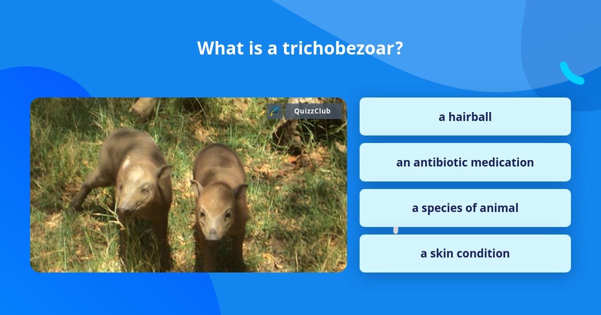 What is a trichobezoar? | Trivia Questions | QuizzClub