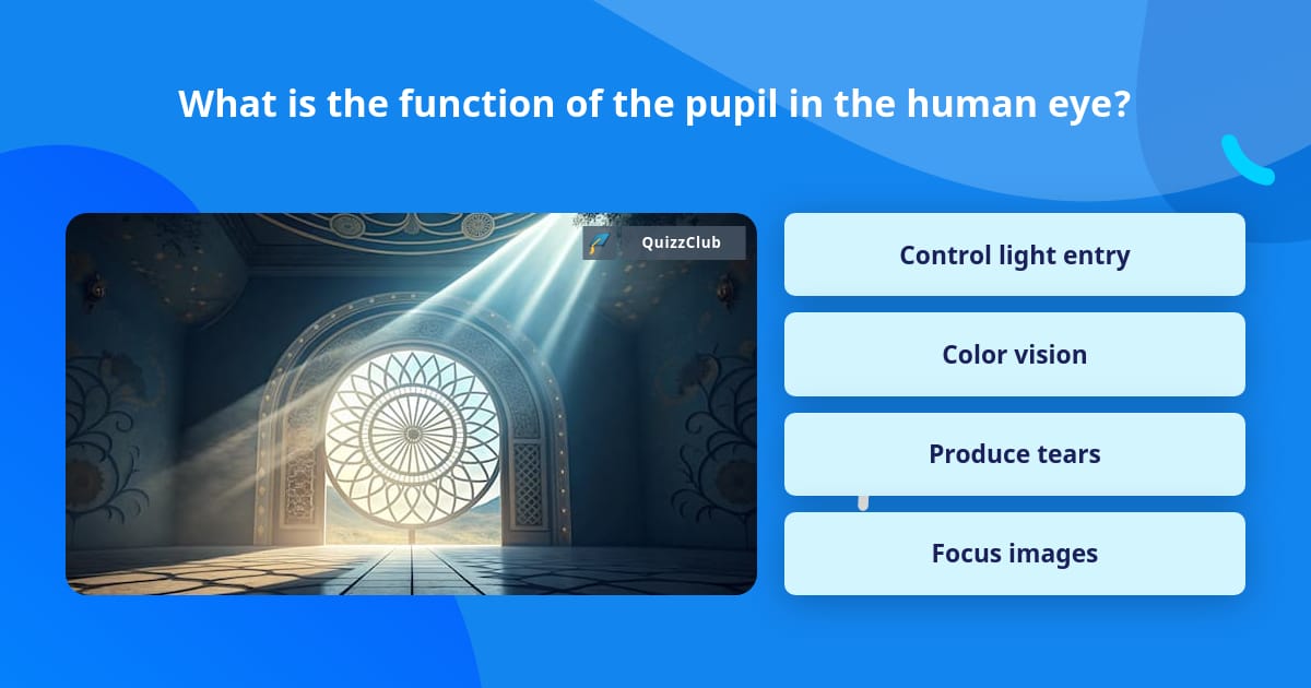 What is the function of the pupil in... | Trivia Questions | QuizzClub