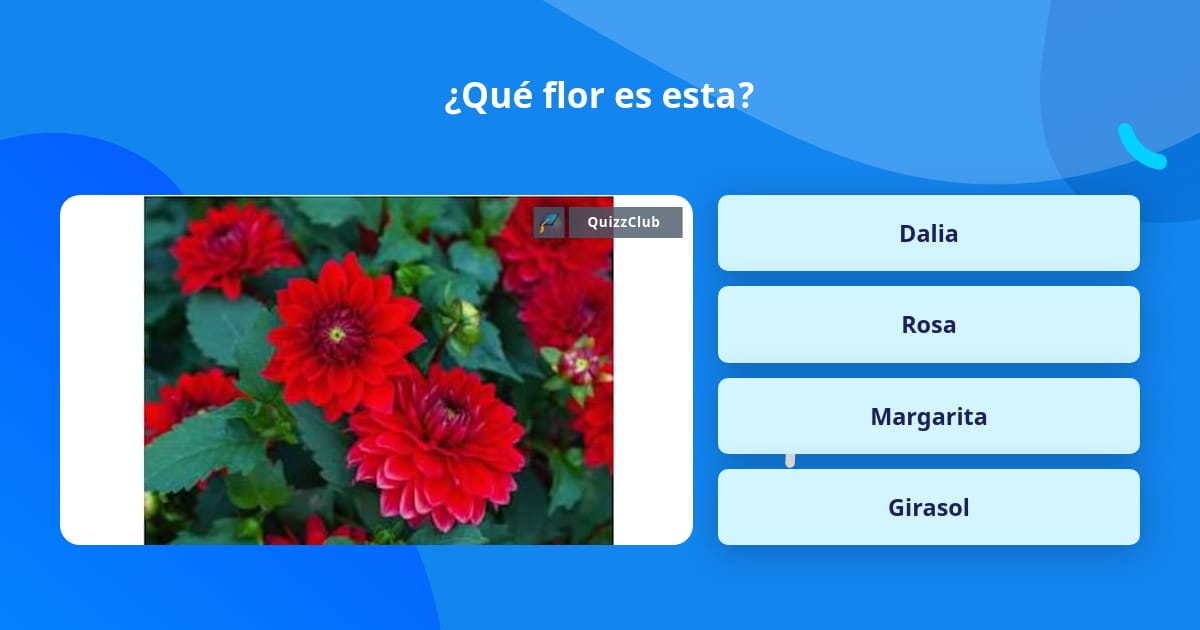 ¿Qué flor es esta? | Las Preguntas Trivia | QuizzClub