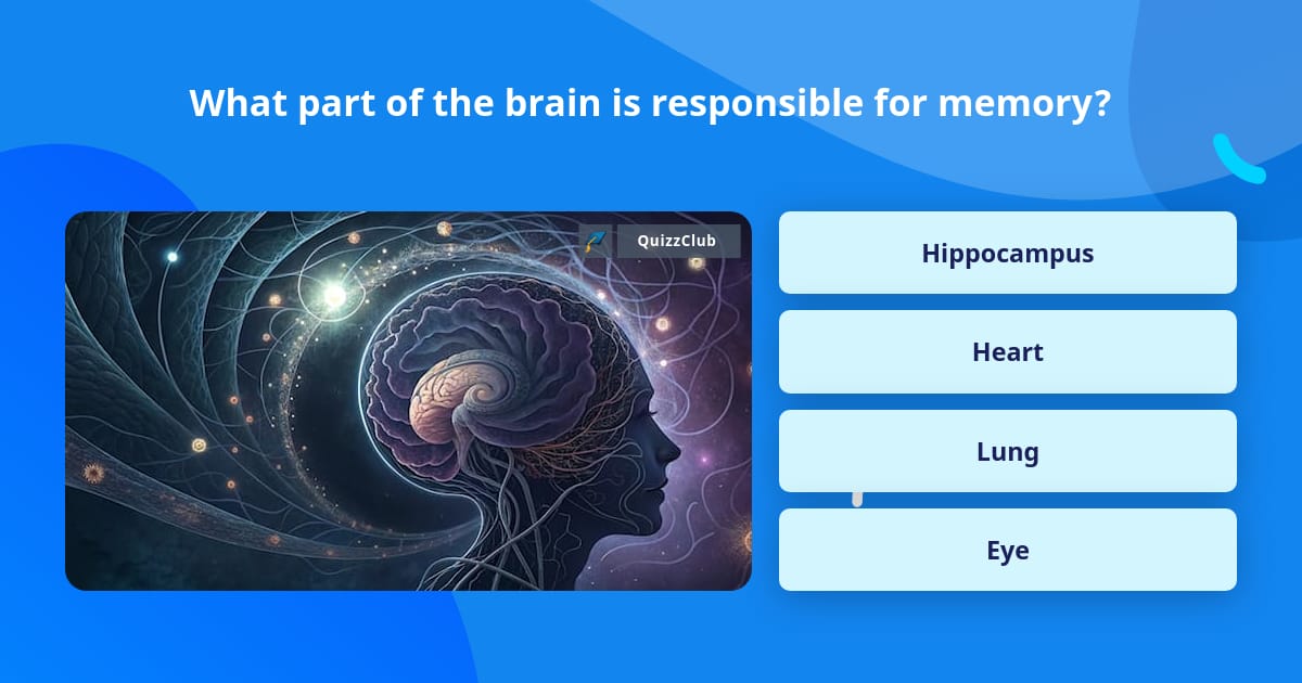 What part of the brain is... | Trivia Questions | QuizzClub