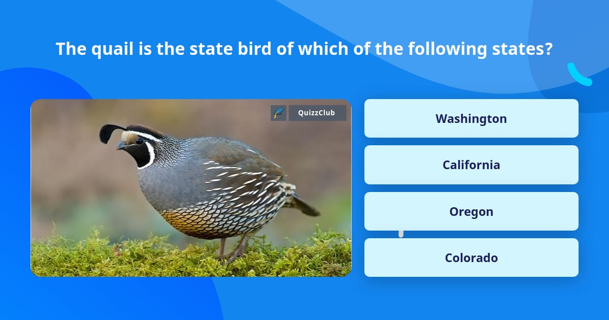 The quail is the state bird of which... | Trivia Questions | QuizzClub