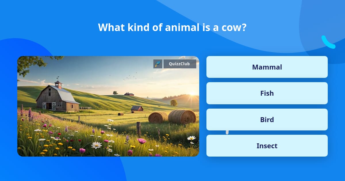 What kind of animal is a cow? | Trivia Questions | QuizzClub