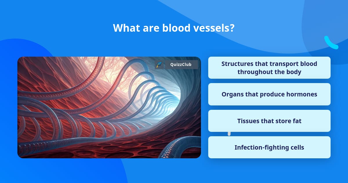 What are blood vessels? | Trivia Questions | QuizzClub