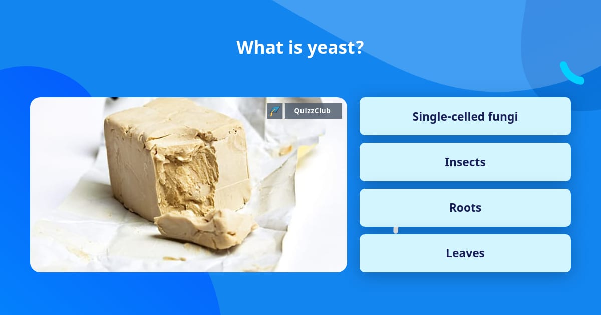 What is yeast? | Trivia Questions | QuizzClub