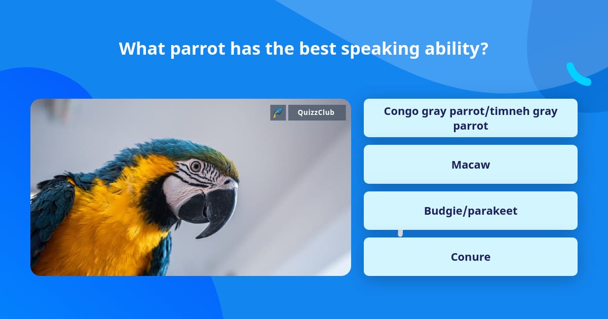 What parrot has the best speaking... | Trivia Questions | QuizzClub