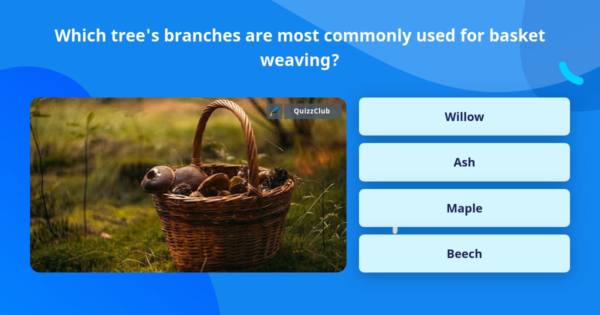 Which tree's branches are most... | Trivia Questions | QuizzClub