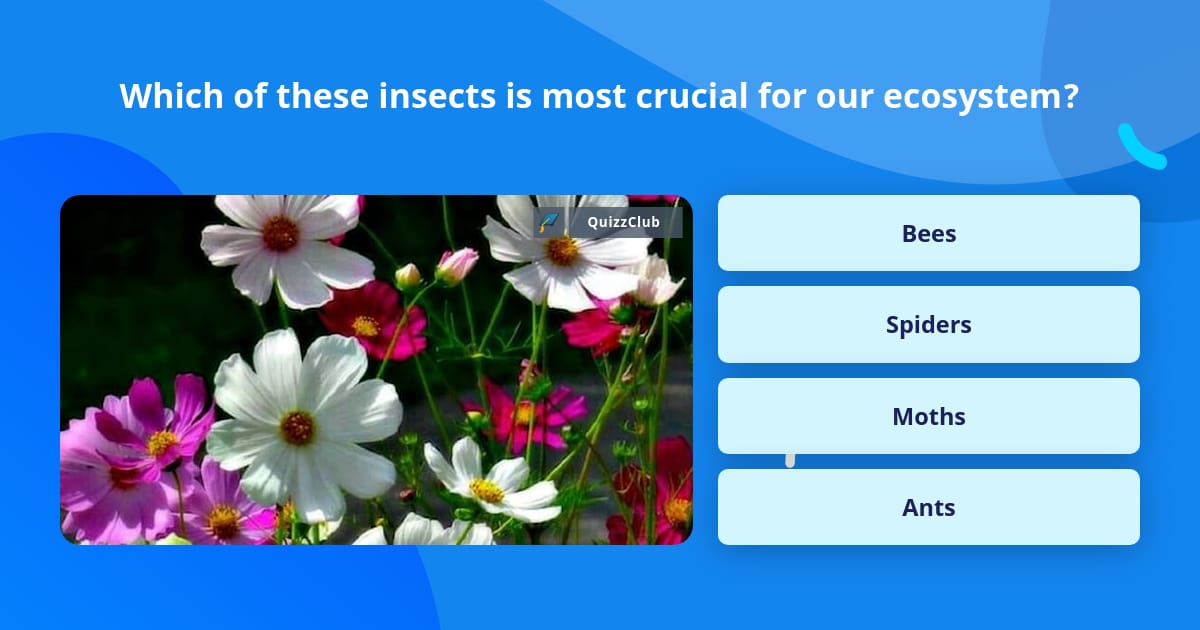 Which of these insects is most... | Trivia Questions | QuizzClub