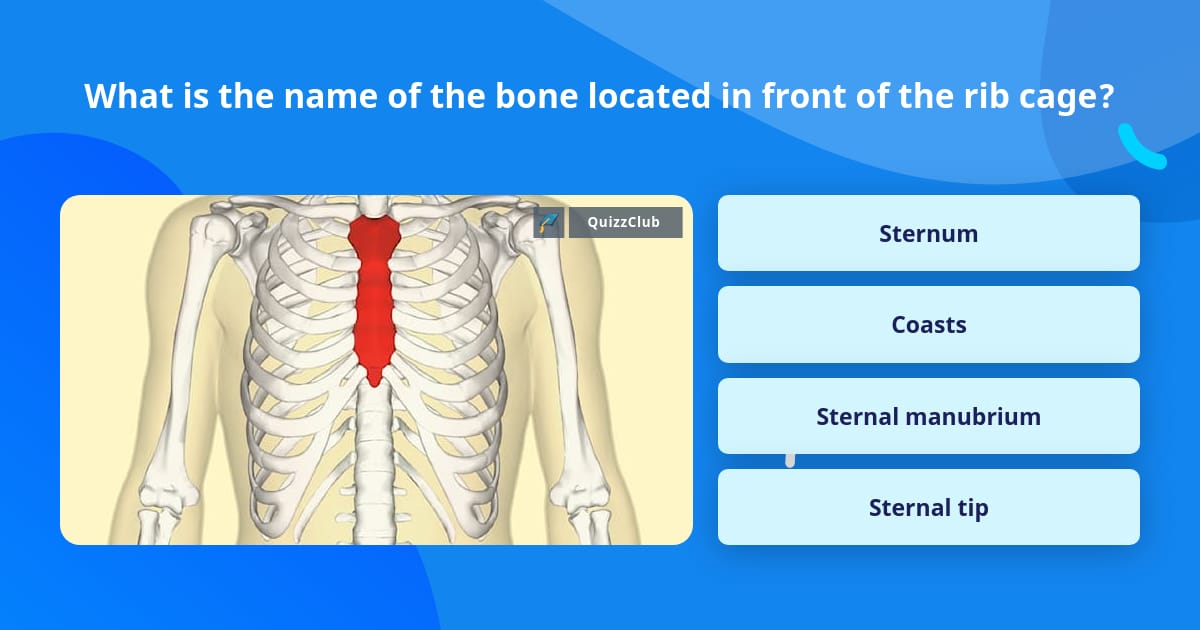 What is the name of the bone located... | Trivia Questions | QuizzClub