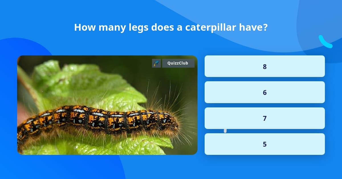 How many legs does a caterpillar have? | Trivia Questions | QuizzClub