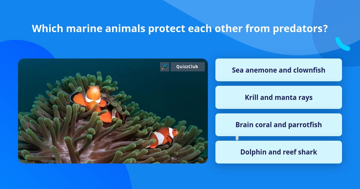 Which marine animals protect each... | Trivia Questions | QuizzClub