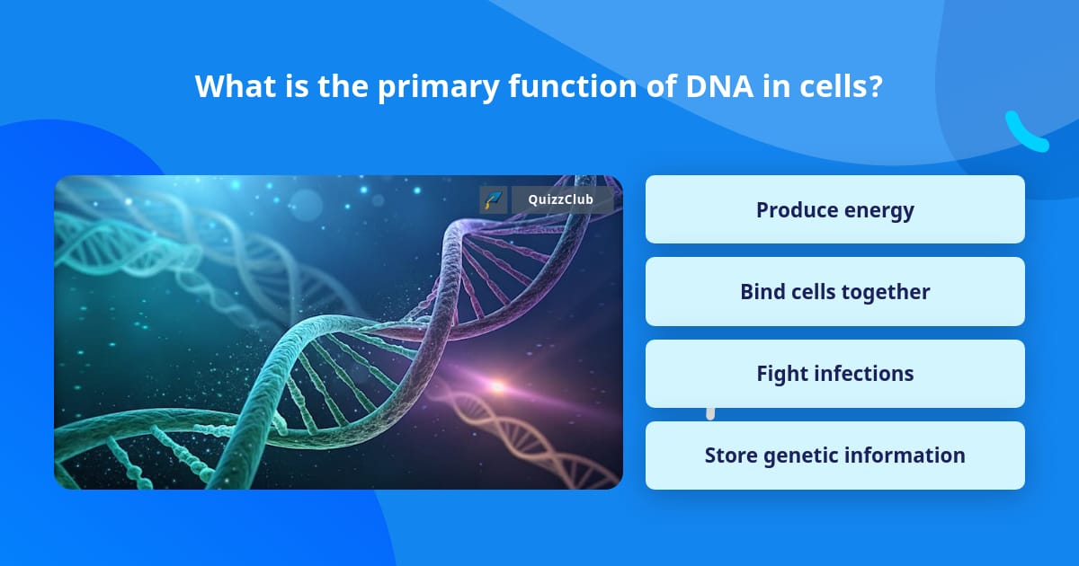 What is the primary function of DNA... | Trivia Questions | QuizzClub