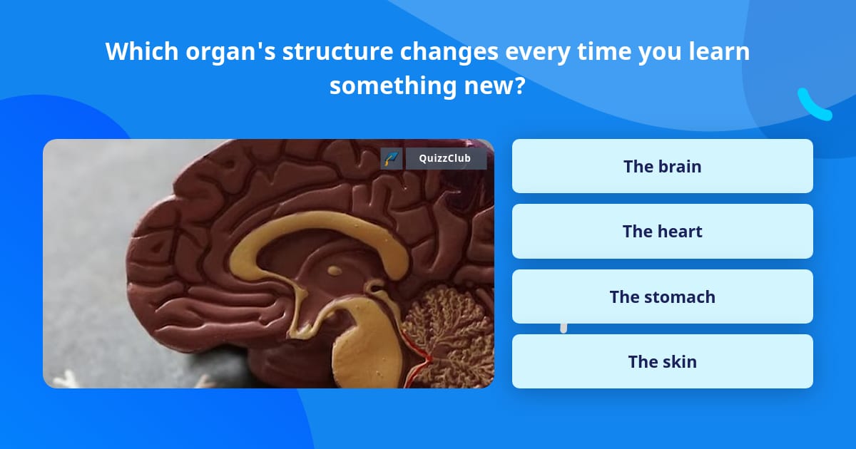 Which organ's structure changes... | Trivia Questions | QuizzClub