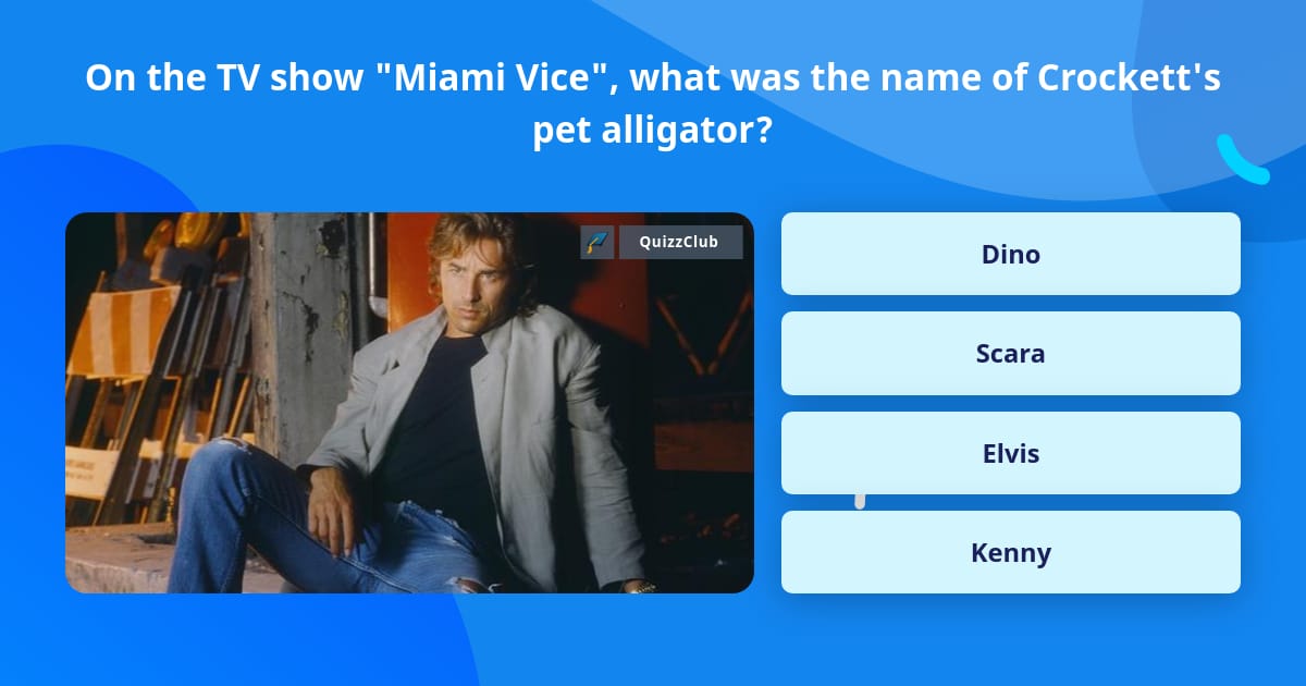 On the TV show "Miami Vice", what... | Trivia Answers | QuizzClub