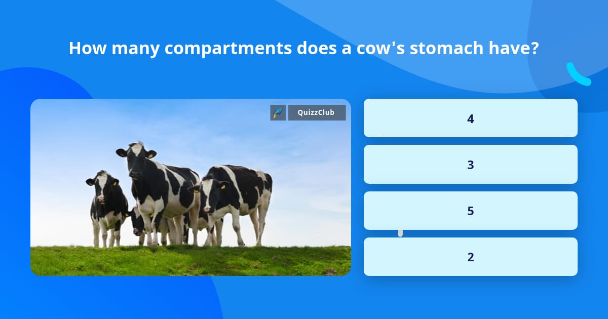 How many compartments does a cow's... | Trivia Answers | QuizzClub