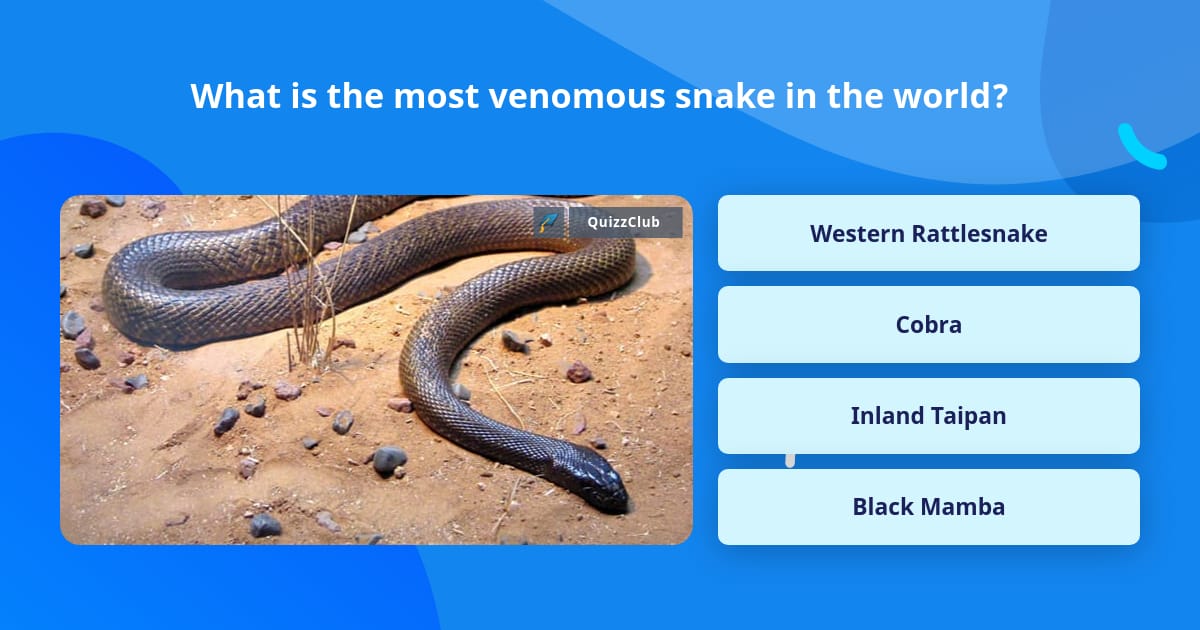 What is the most venomous snake in... | Trivia Answers | QuizzClub