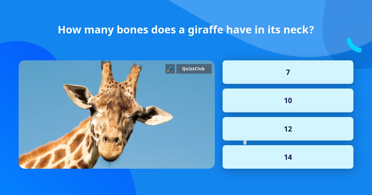 How Many Bones Does A Giraffe Have Trivia Answers QuizzClub how-many-bones-does-a-giraffe-have-trivia-answers-quizzclub
