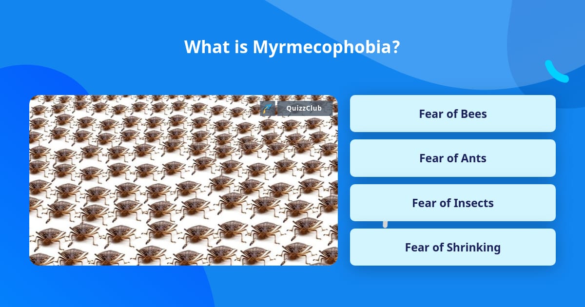 What is Myrmecophobia? | Trivia Questions | QuizzClub
