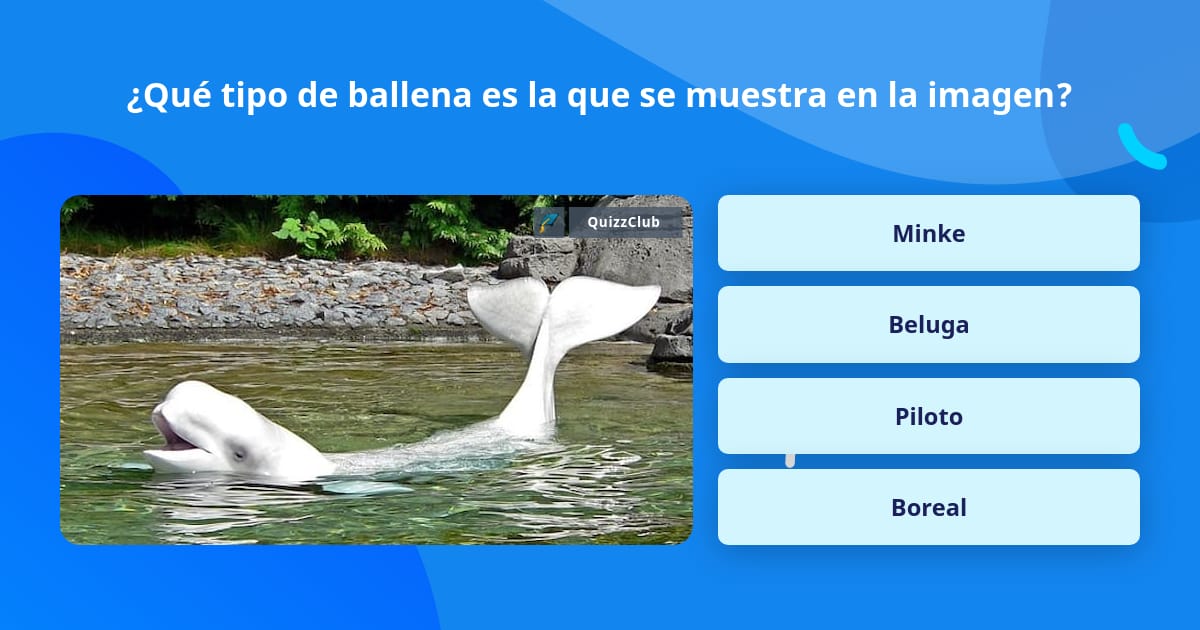 ¿Qué tipo de ballena es la que se... | Las Preguntas Trivia
