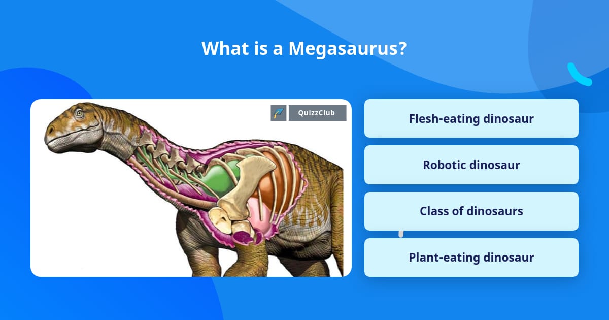 What is a Megasaurus? | Trivia Questions | QuizzClub