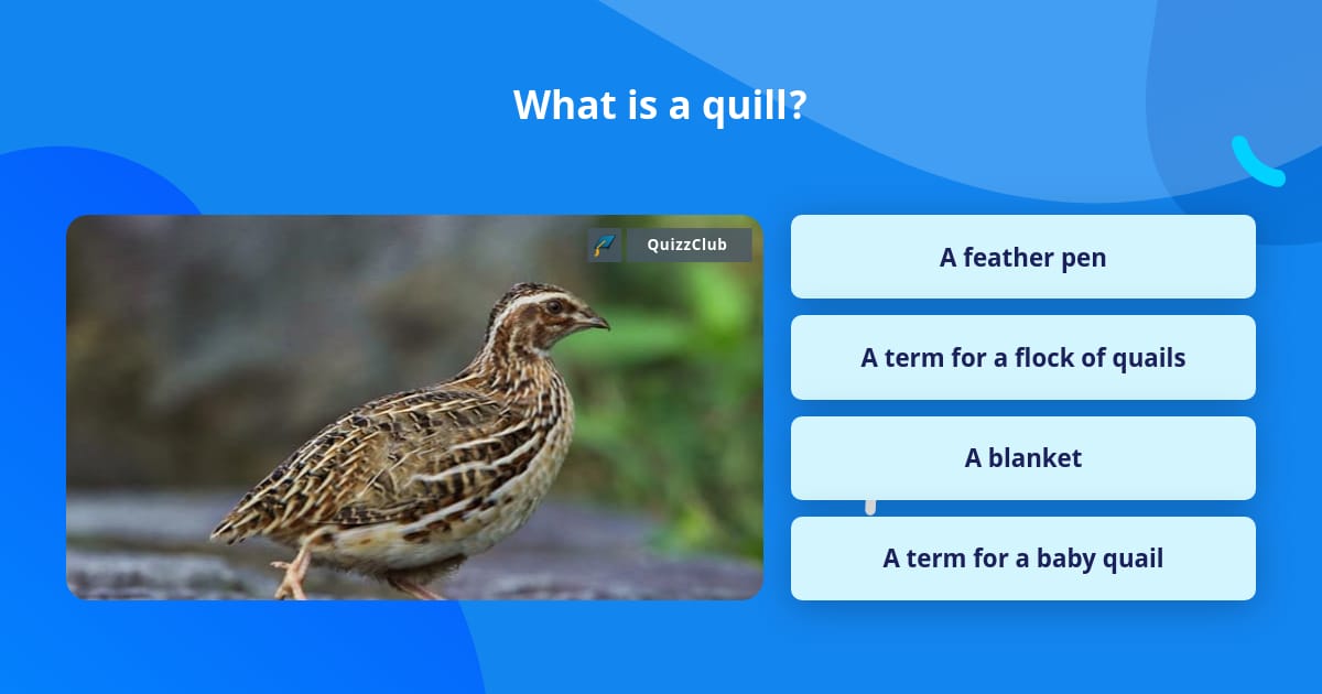 What is a quill? | Trivia Answers | QuizzClub