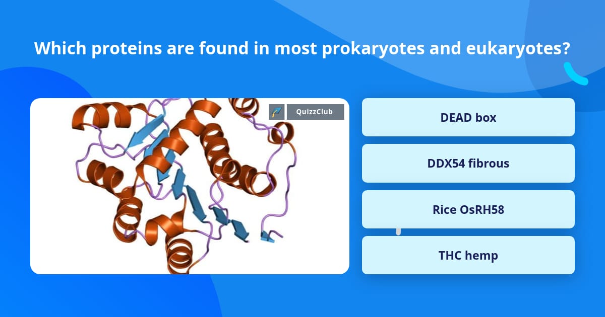 Which proteins are found in most... | Trivia Questions | QuizzClub