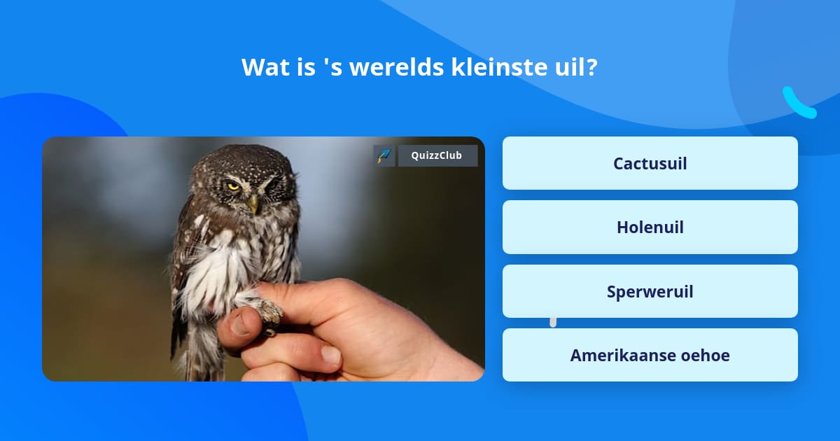Wat is 's werelds kleinste uil? | Trivia Antwoorden | QuizzClub