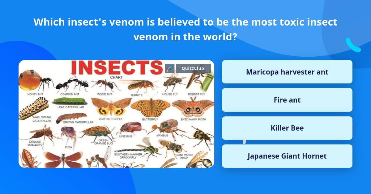 Which insect's venom is believed to... | Trivia Questions | QuizzClub