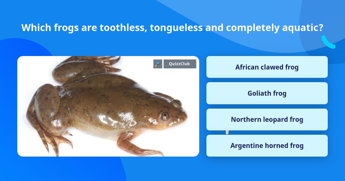 Which frogs are toothless,... | Trivia Questions | QuizzClub