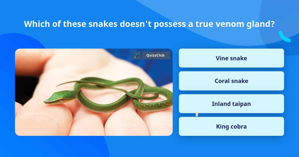 Which of these snakes doesn't... | Trivia Answers | QuizzClub