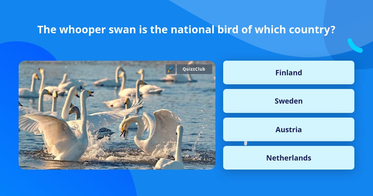 The whooper swan is the national... | Trivia Questions | QuizzClub
