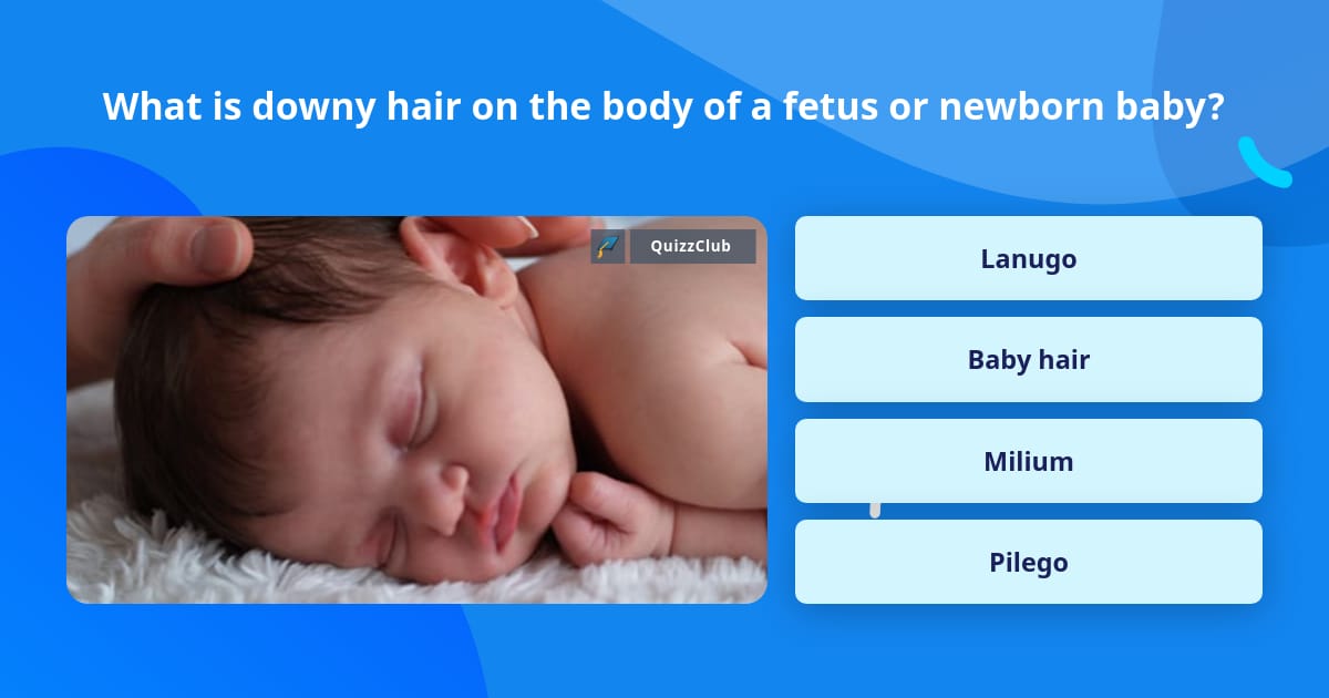 What Is Downy Hair On The Body Of A Trivia Answers QuizzClub What Is Downy Hair On The Body Of A Trivia Answers QuizzClub
