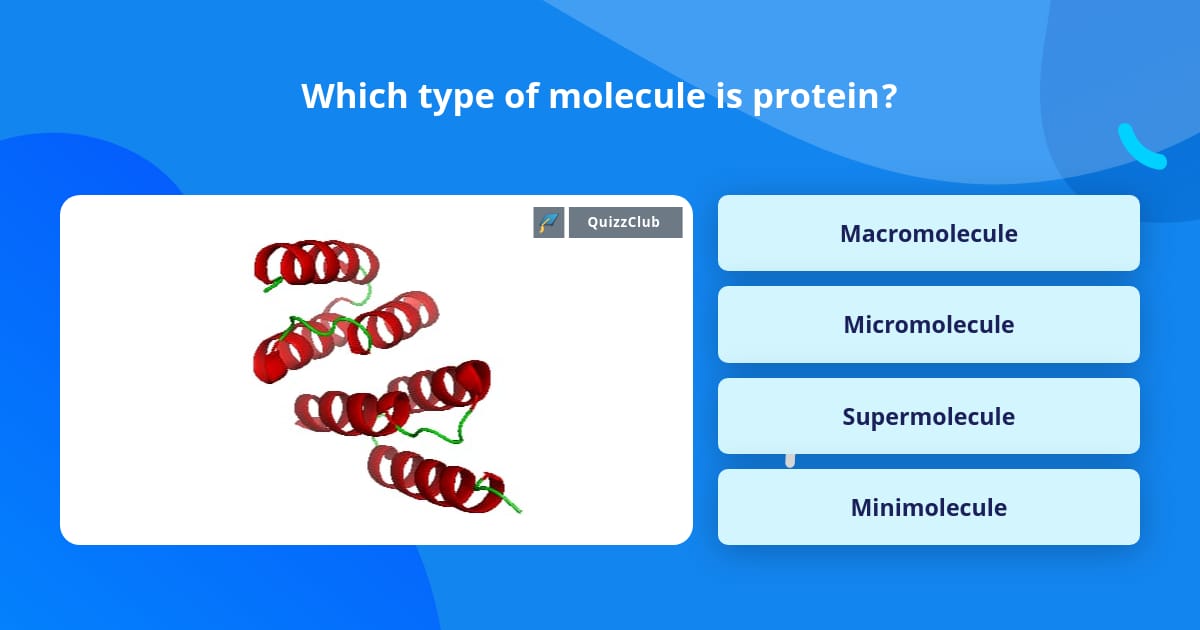 Which type of molecule is protein? | Trivia Answers | QuizzClub