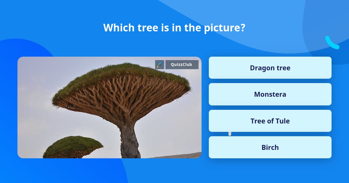 Which tree is in the picture? | Trivia Answers | QuizzClub