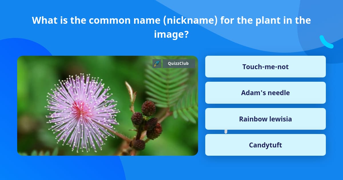 what-is-the-common-name-nickname-trivia-ions-quizzclub
