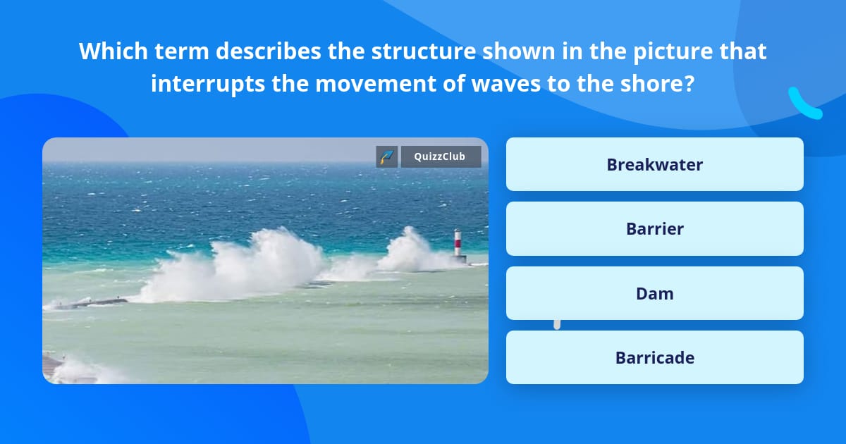 Which term describes the structure... | Trivia Answers | QuizzClub