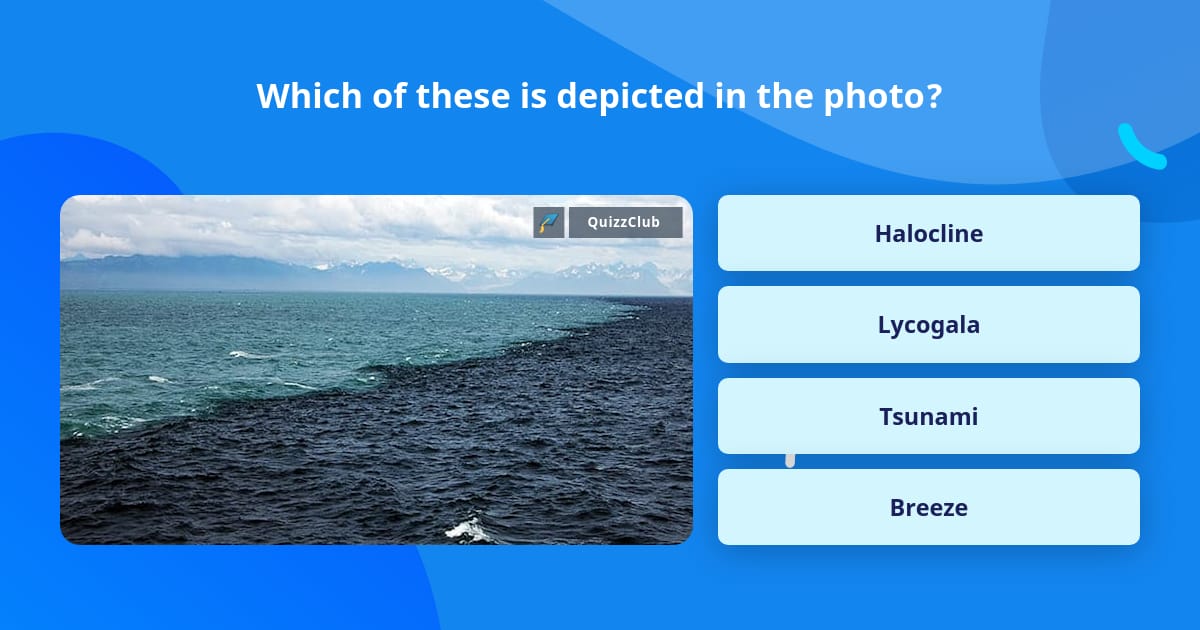 Which of these is depicted in the photo? | Trivia Questions