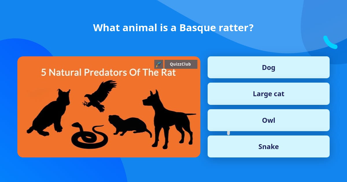 What animal is a Basque ratter? | Trivia Answers | QuizzClub
