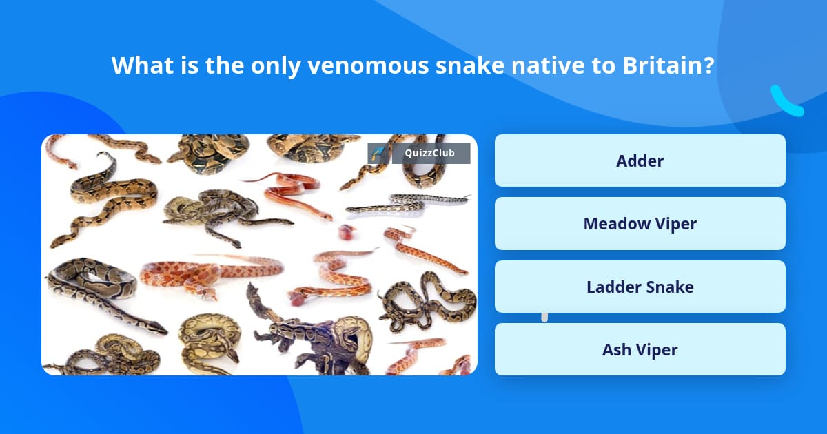 What is the only venomous snake... | Trivia Questions | QuizzClub