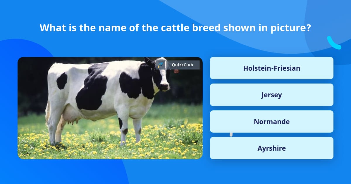 What is the name of the cattle breed... | Trivia Questions | QuizzClub