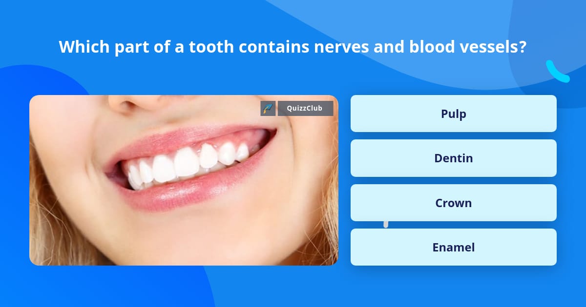 Which part of a tooth contains... | Trivia Answers | QuizzClub