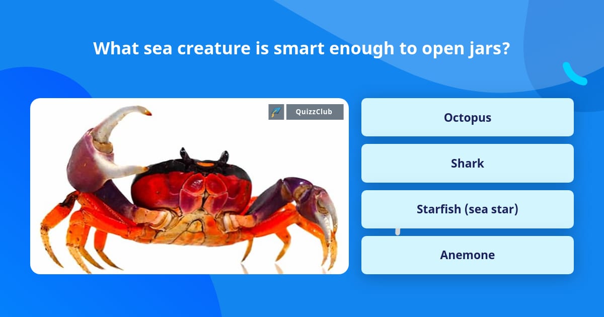 What sea creature is smart enough to... | Trivia Questions | QuizzClub