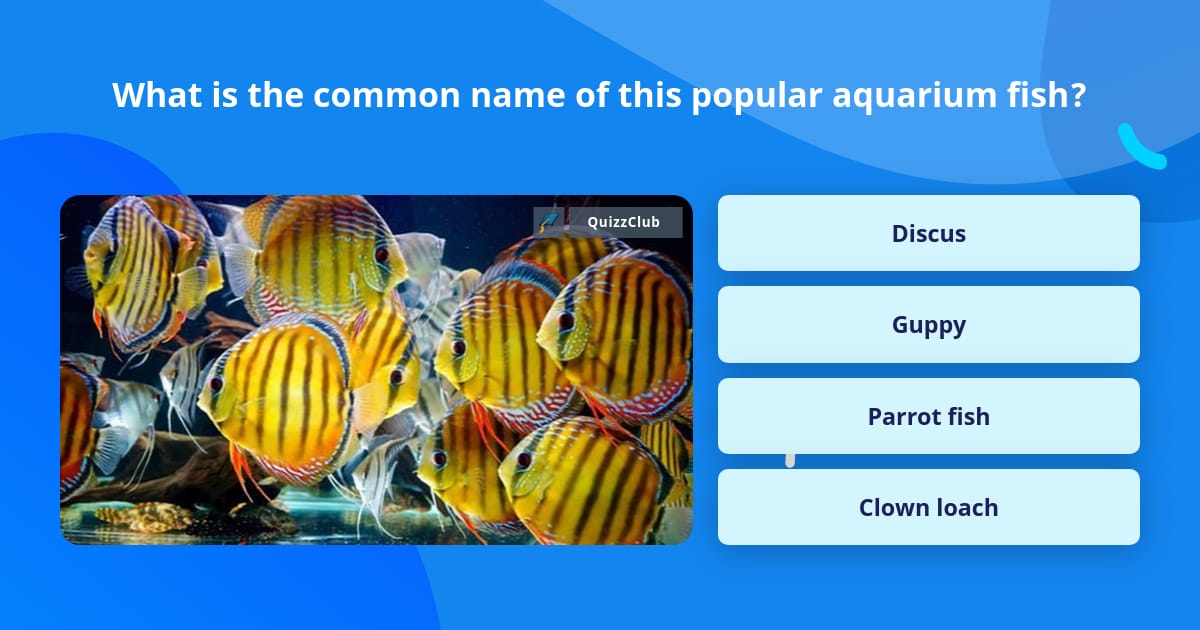 What is the common name of this... | Trivia Answers | QuizzClub